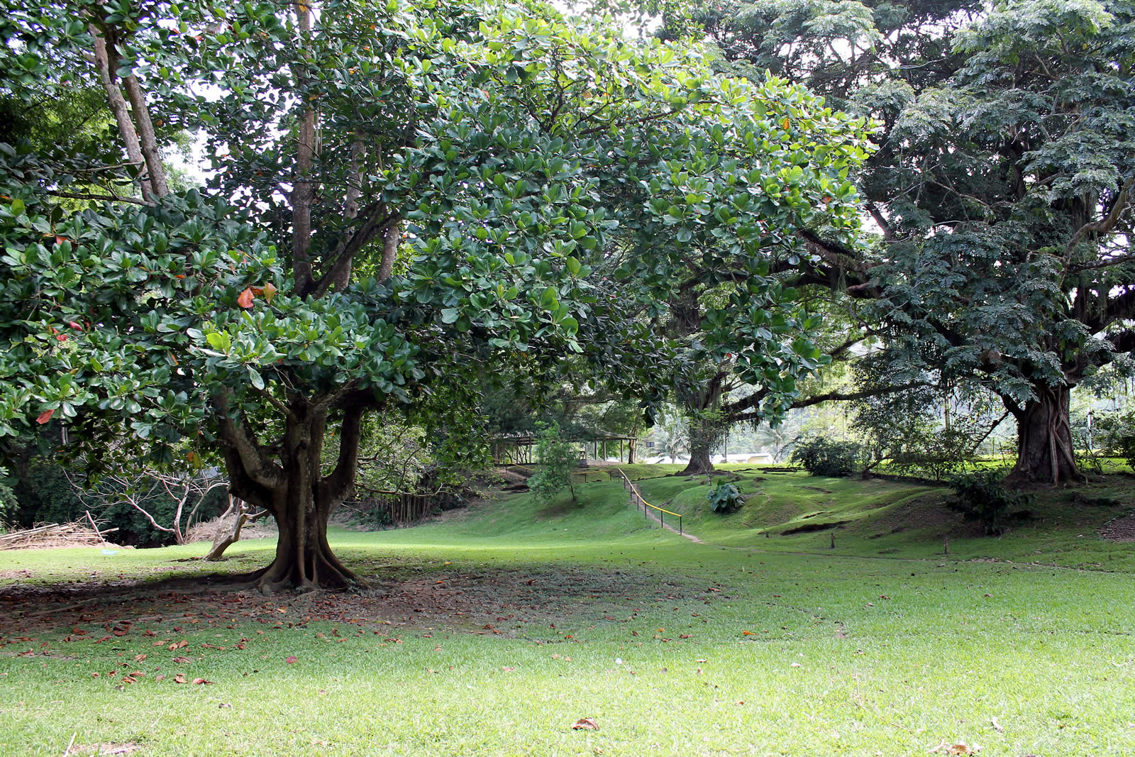 Lopinot: Destination Trinidad and Tobago | Tours, Holidays, Vacations ...