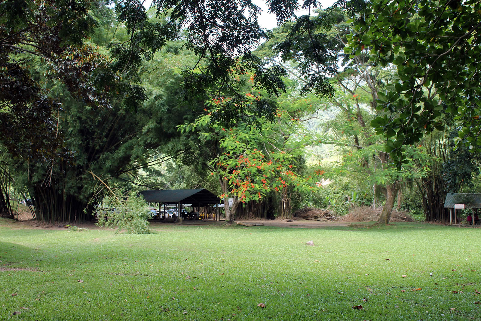 Lopinot: Destination Trinidad and Tobago | Tours, Holidays, Vacations ...