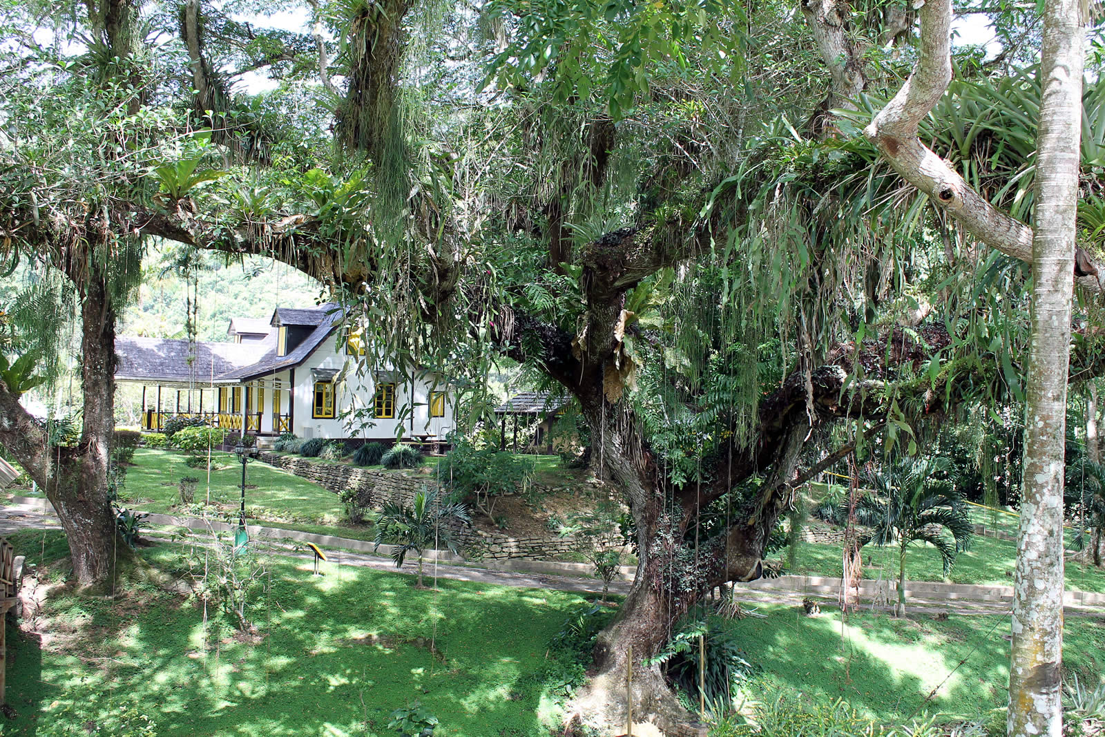 Lopinot: Destination Trinidad and Tobago | Tours, Holidays, Vacations ...