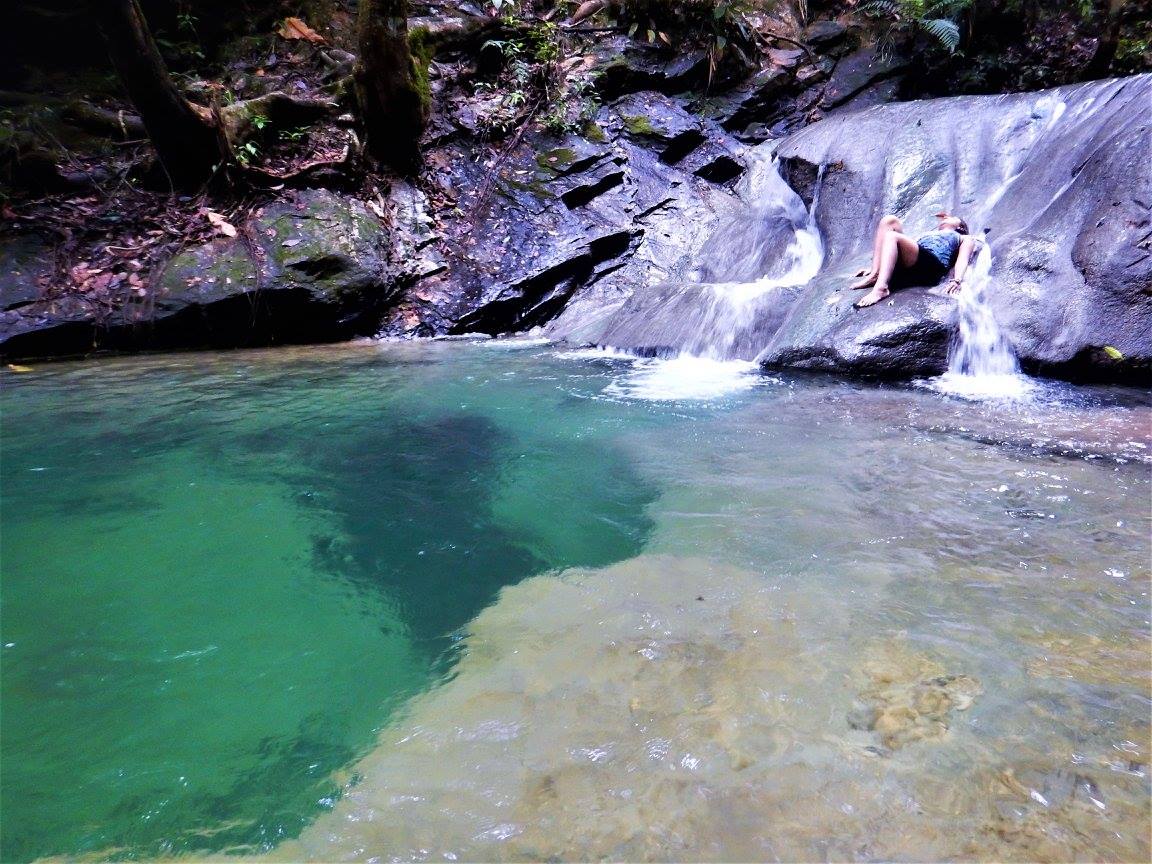 Turure Waterfalls: Destination Trinidad and Tobago | Tours, Holidays ...